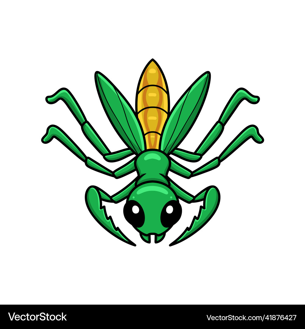 Cute little mantis cartoon character Royalty Free Vector