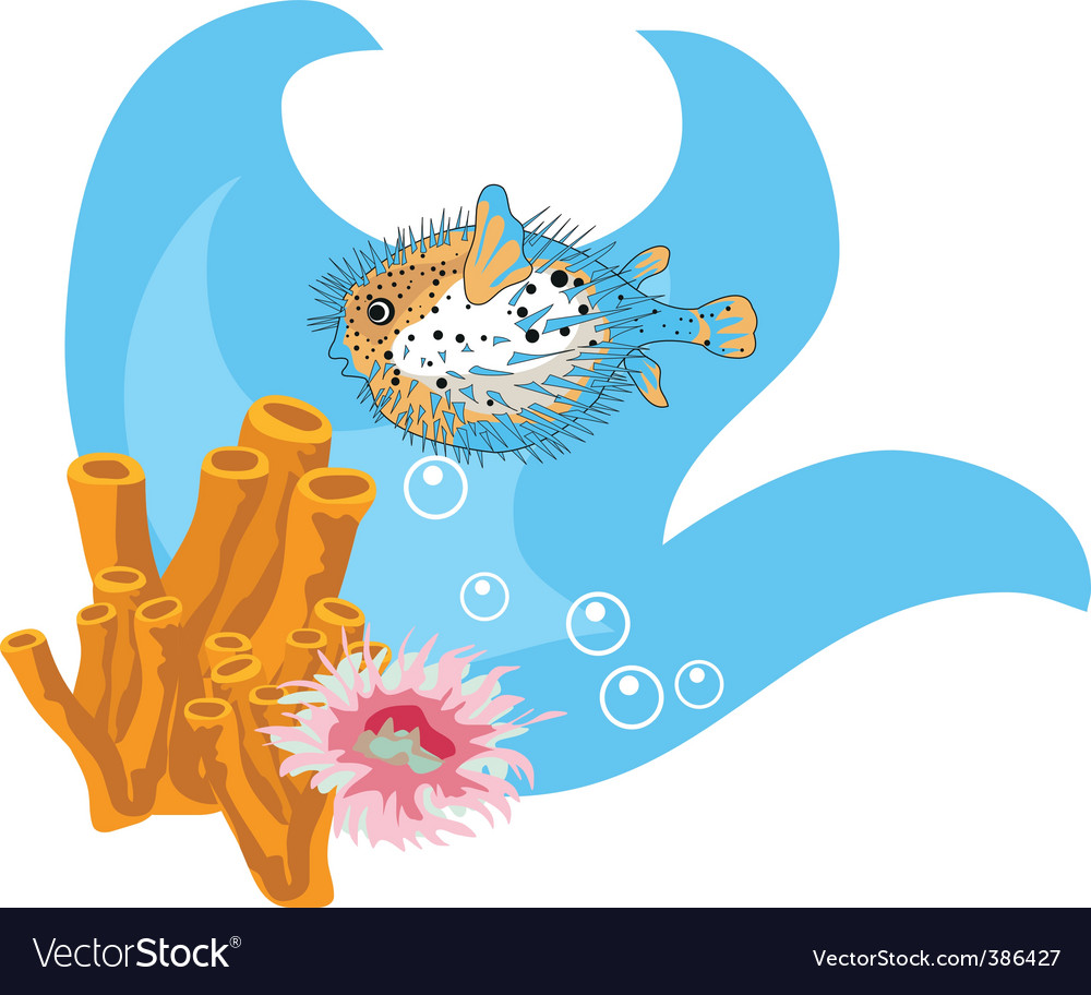 Fish Royalty Free Vector Image - VectorStock