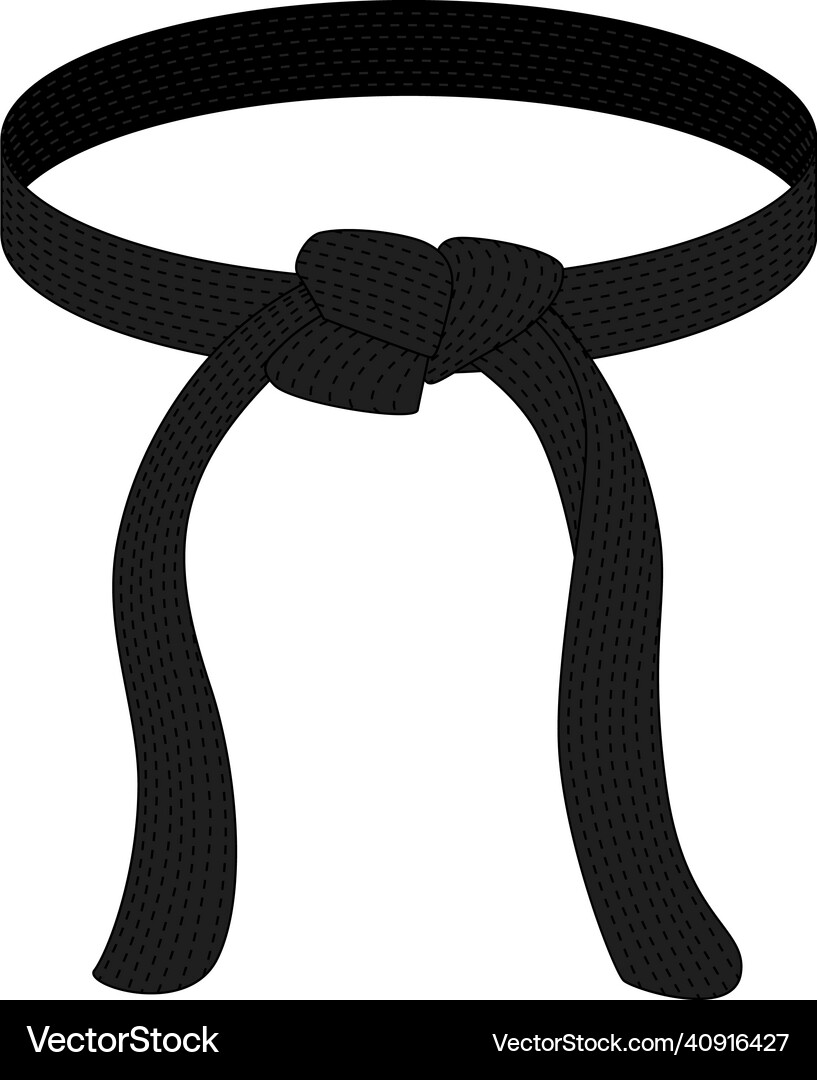 Karate belt black color isolated on white Vector Image