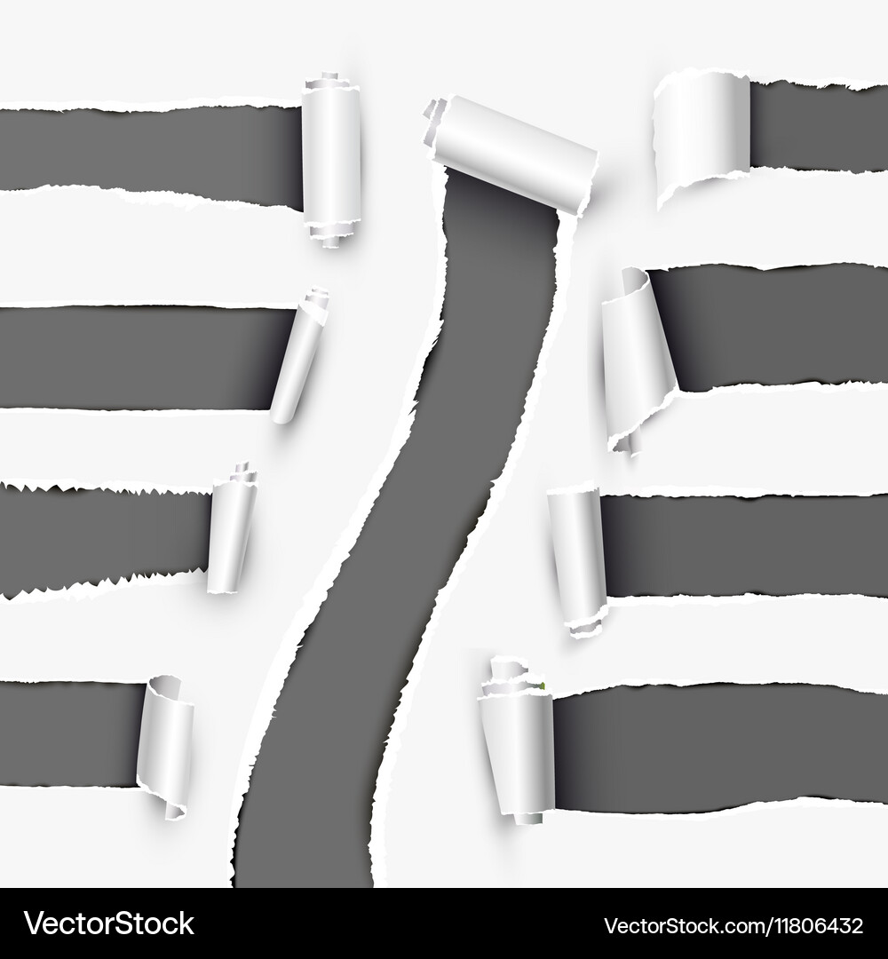 Realistic Holes in White Paper Background Vector Image