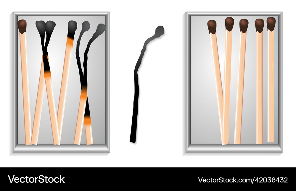 Realistic opened blank box of brown matches Vector Image