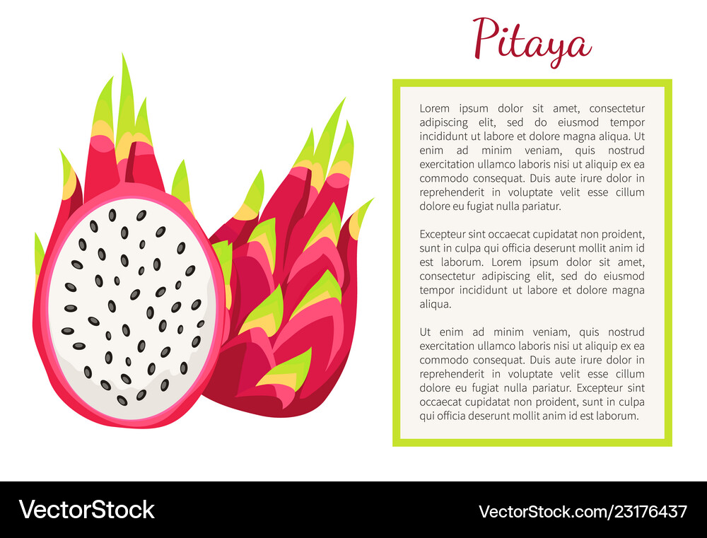 Pitaya pitahaya exotic juicy fruit poster Vector Image