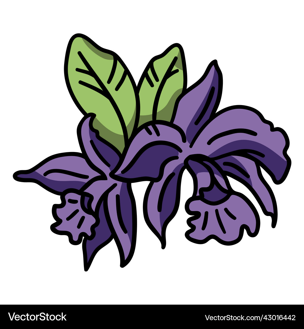 Purple orchid color stroke Royalty Free Vector Image
