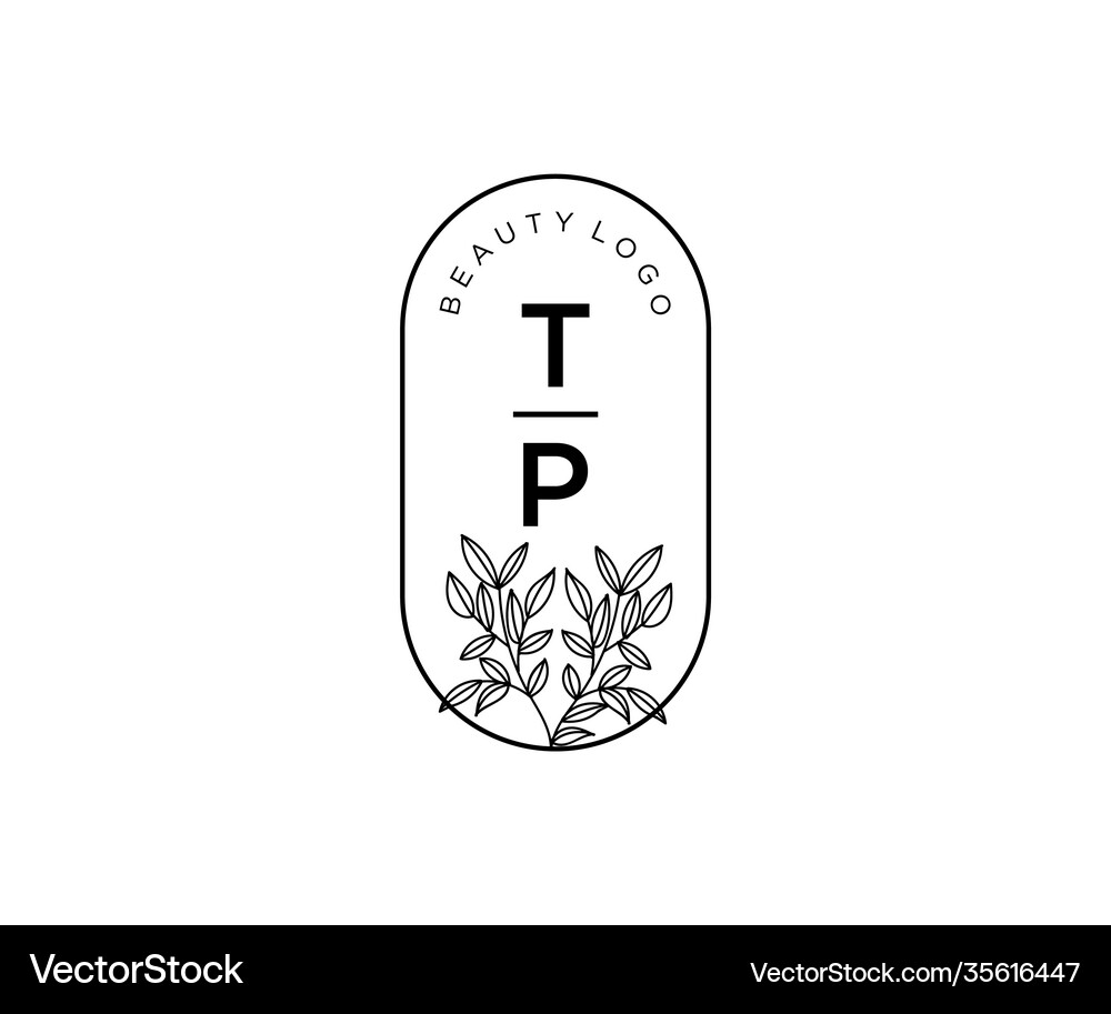 Initial tp letters beautiful floral feminine Vector Image