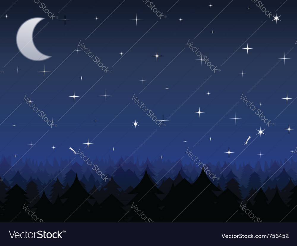 Night Royalty Free Vector Image - VectorStock