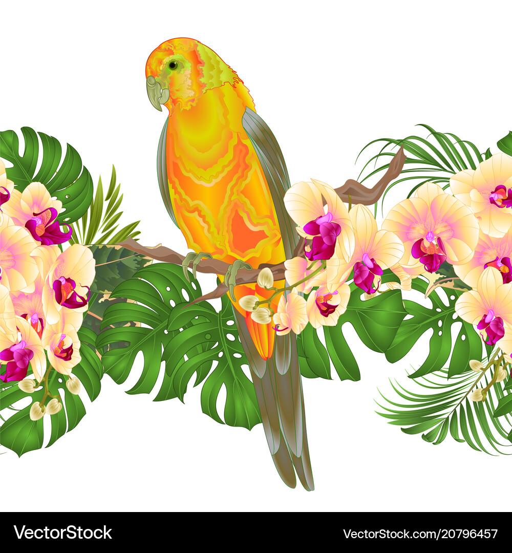 Floral border seamless background and sun conure Vector Image
