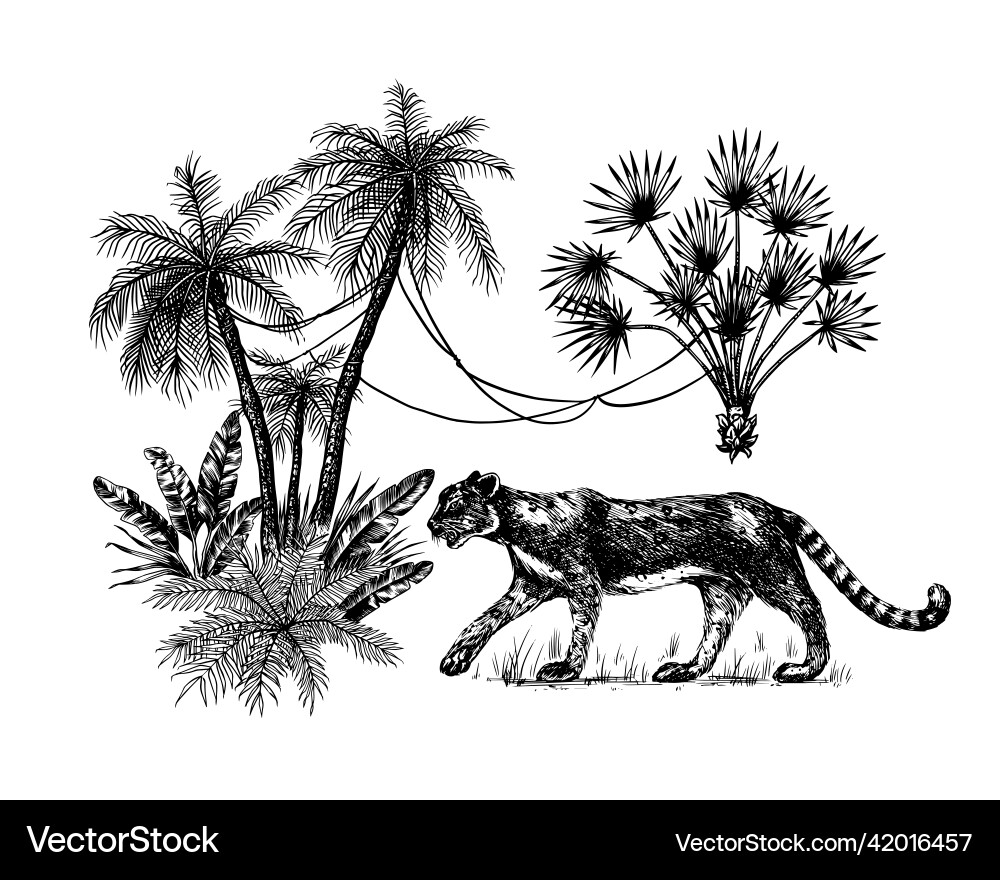 Wild tiger and exotic plants tropical trees Vector Image
