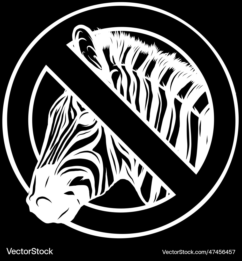Zebra animal in white line on black background Vector Image