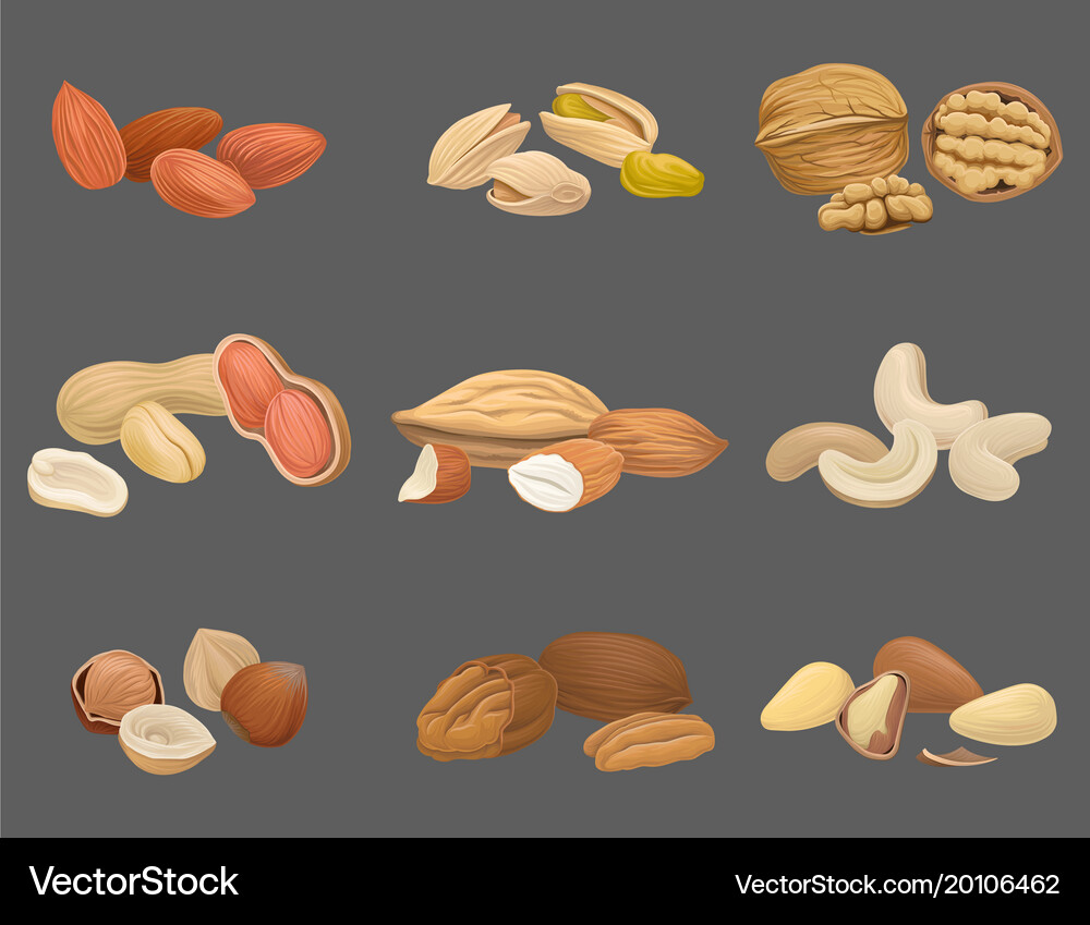 Icons set with various kinds of nuts walnut Vector Image