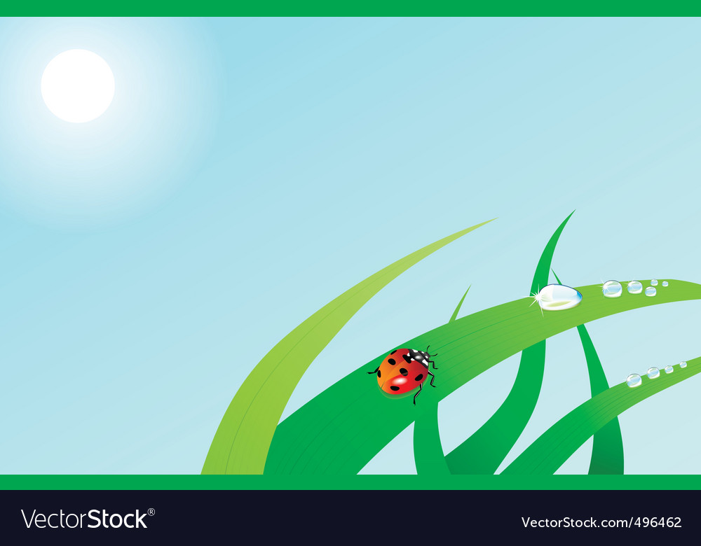 Ladybug Royalty Free Vector Image - VectorStock