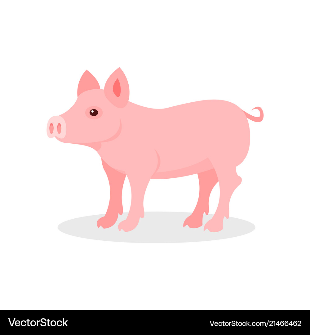 Little piglet farm animal Royalty Free Vector Image