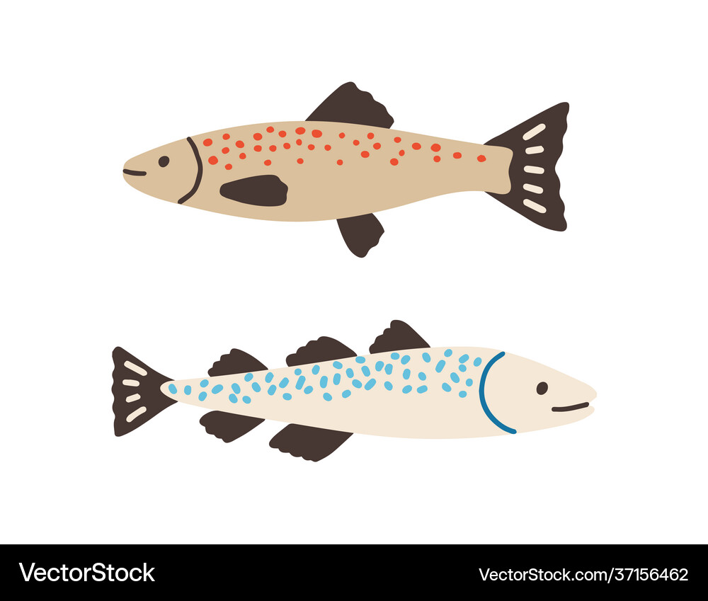 Side view atlantic spotted fishes baltic Vector Image