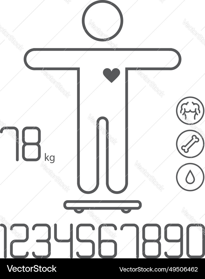 Smart scale weight fat bones water icons numbers Vector Image