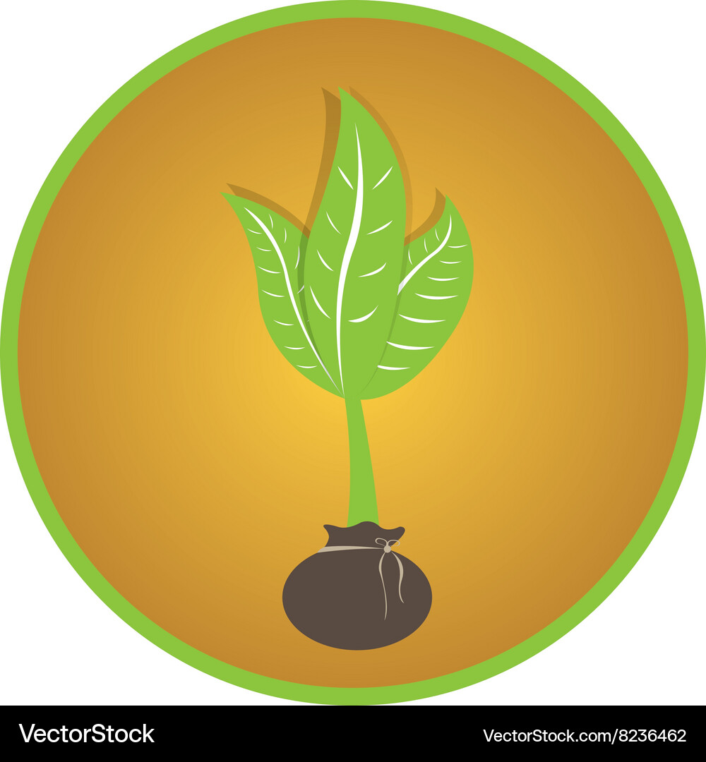 Spa icon Royalty Free Vector Image - VectorStock