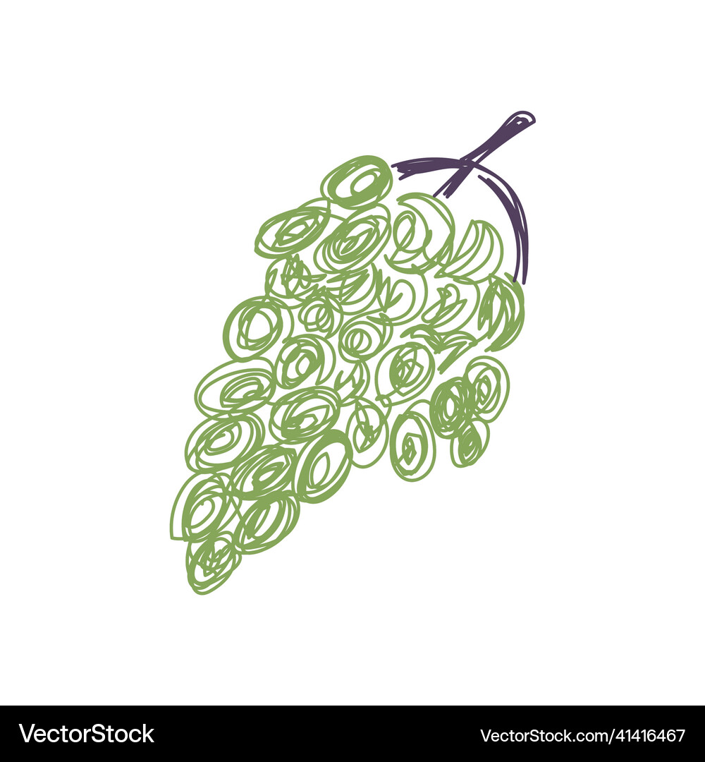 Grape fruit hand drawn pen Royalty Free Vector Image