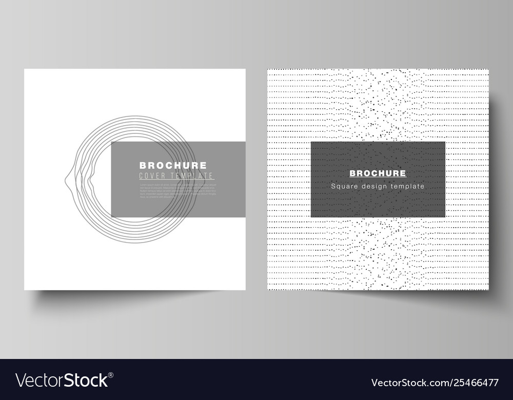 Minimal layout two square Royalty Free Vector Image