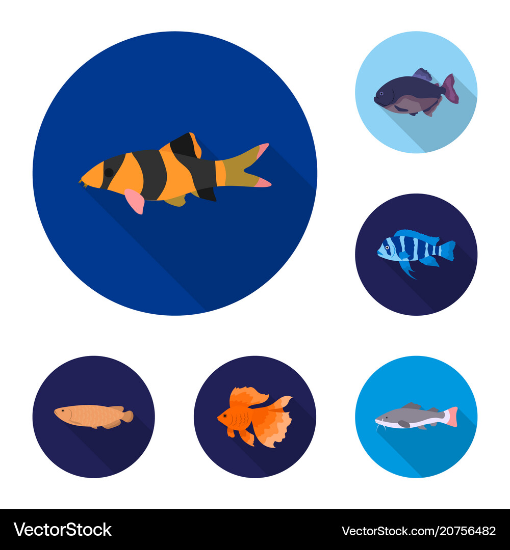Different types of fish flat icons in set Vector Image