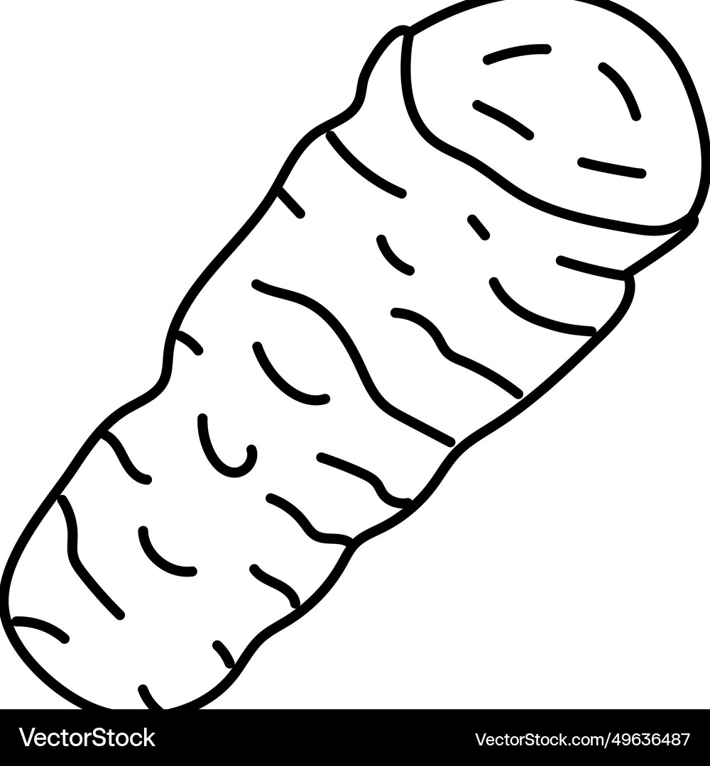 Turmeric food herb line icon Royalty Free Vector Image