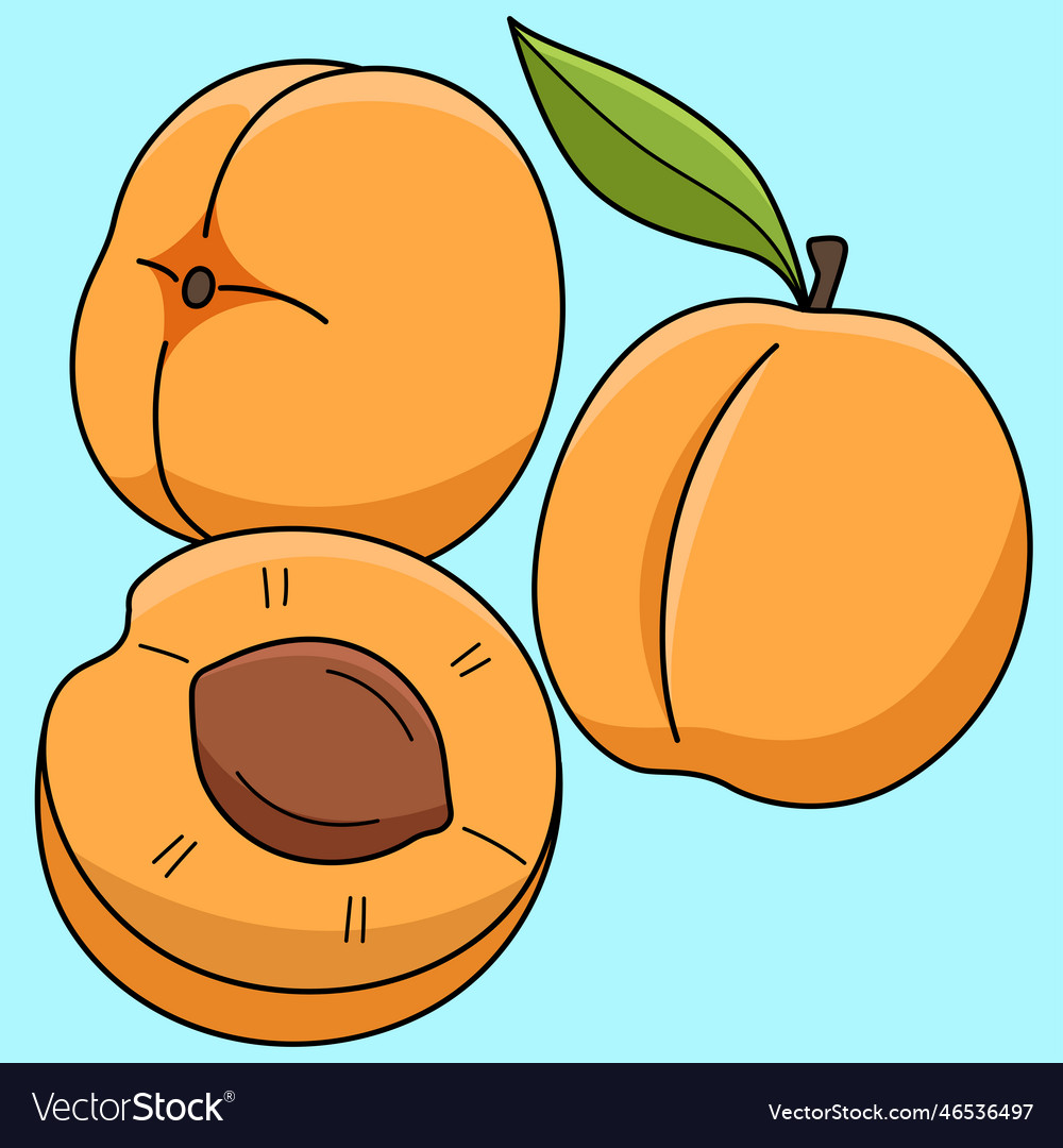 Apricot fruit colored cartoon Royalty Free Vector Image Apricot fruit colored cartoon Royalty Free Vector Image