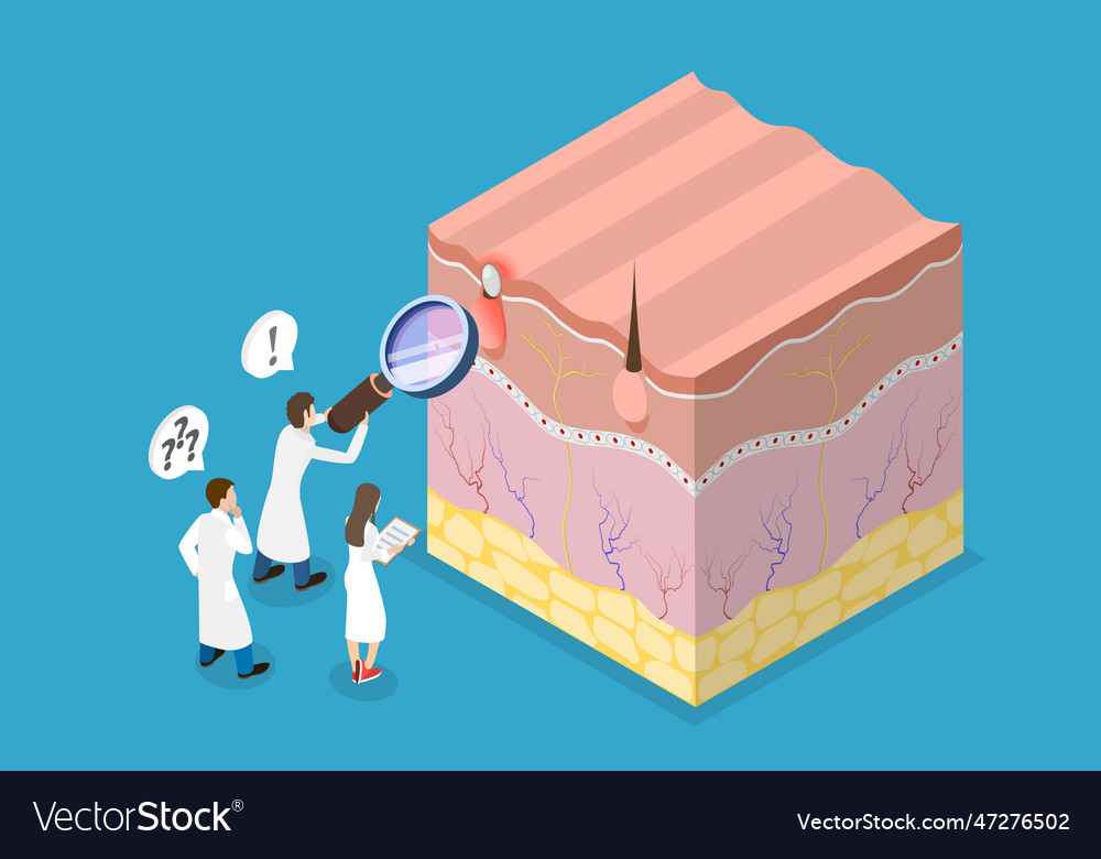 3d isometric flat conceptual Royalty Free Vector Image