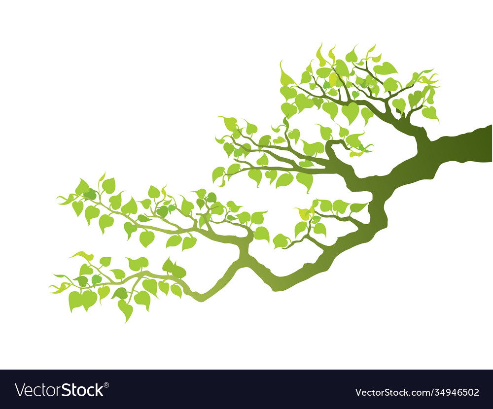 Buddhist tree Royalty Free Vector Image - VectorStock