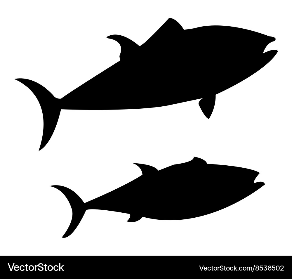 Fish on white background Royalty Free Vector Image