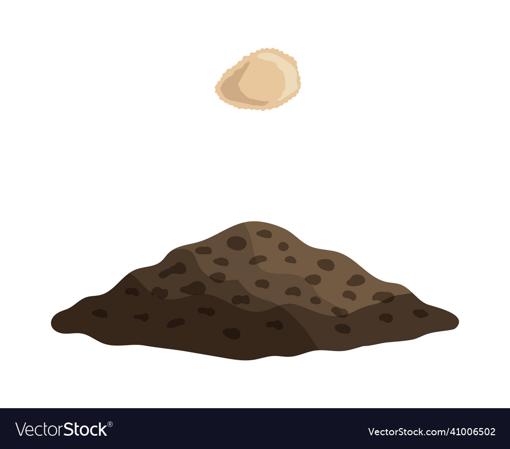 Flat tomato seed Royalty Free Vector Image - VectorStock