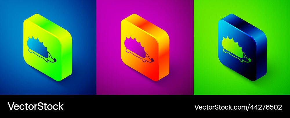 Isometric hedgehog icon isolated on blue purple Vector Image