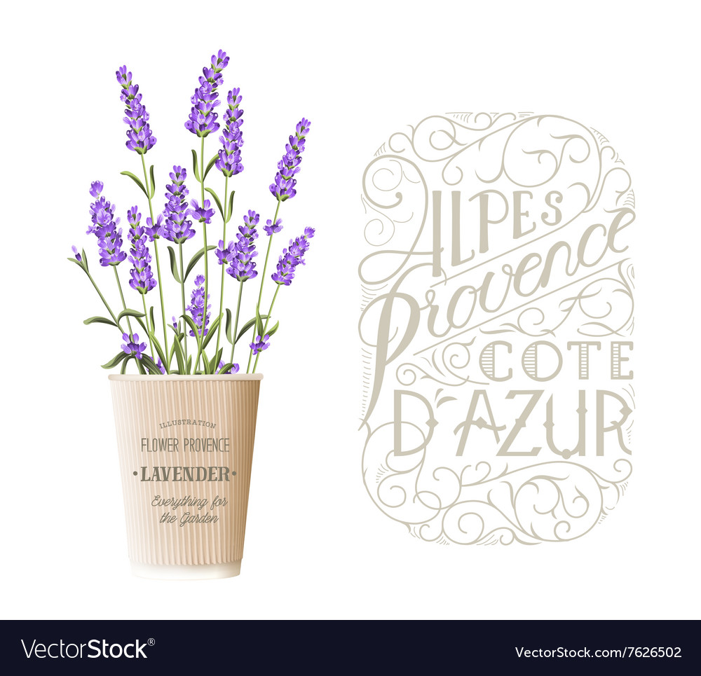 Lavender sign label Royalty Free Vector Image - VectorStock