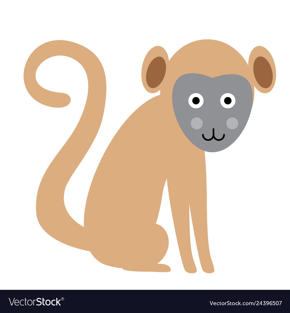 Monkey flat Royalty Free Vector Image - VectorStock