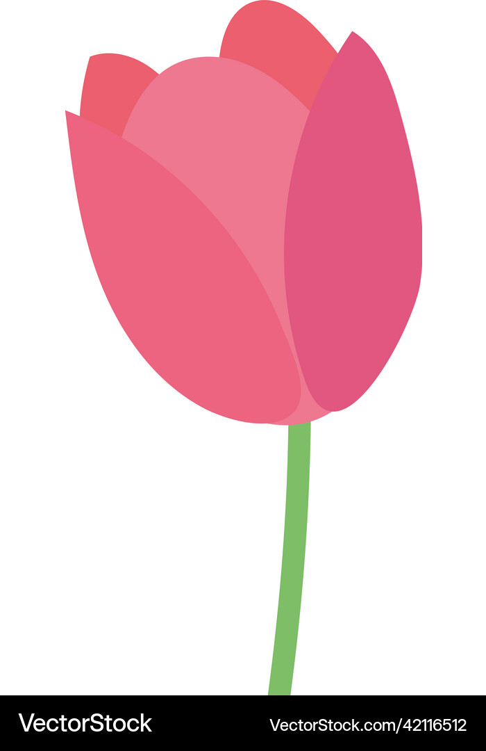 Isolated pink tulip flower icon Royalty Free Vector Image