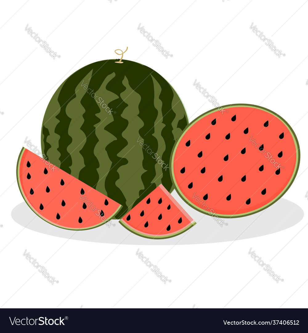Watermelon Royalty Free Vector Image - VectorStock