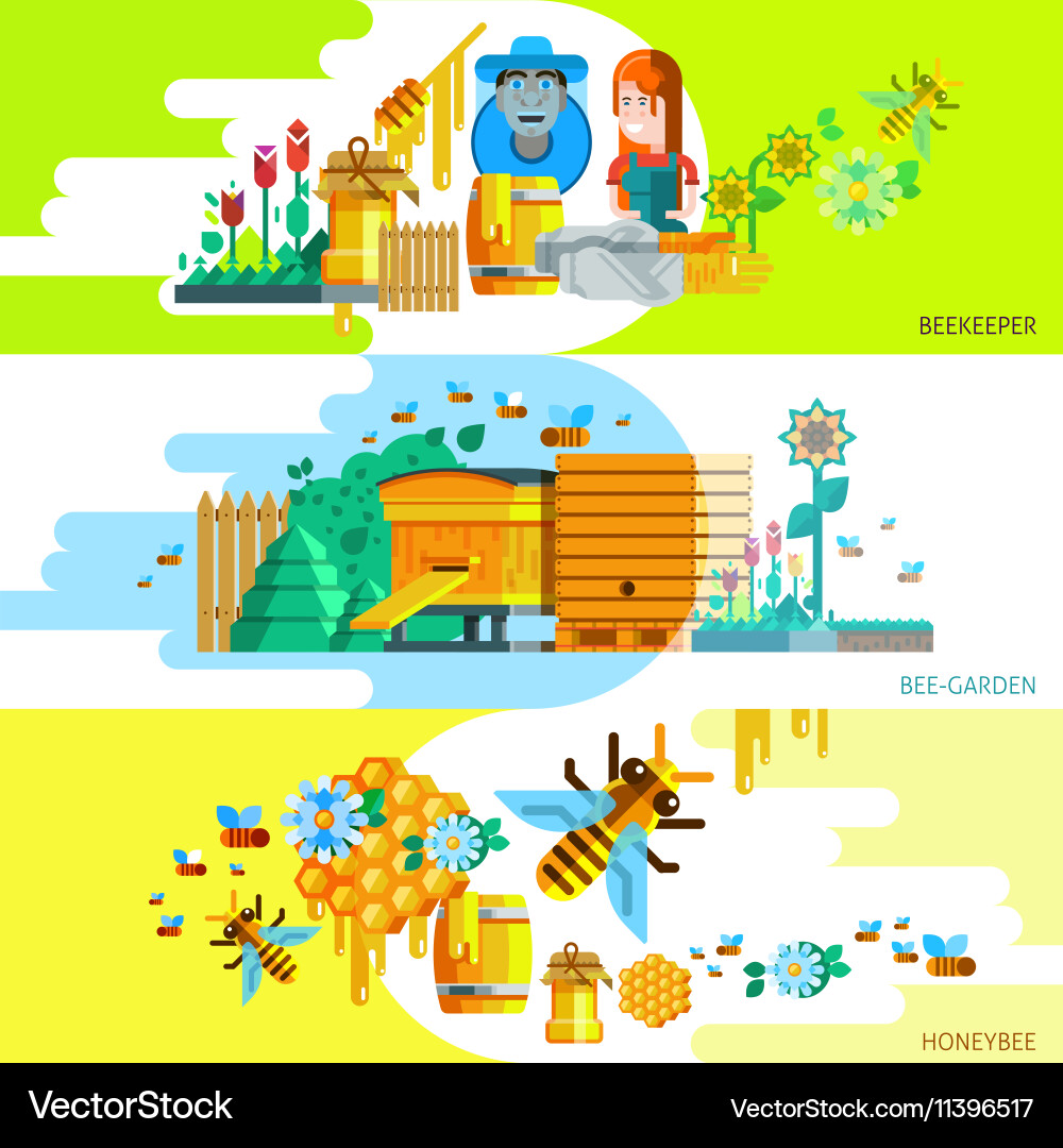 1608i047018sm004c13beekeeping apiary flat banners Vector Image