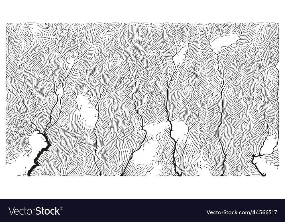 Growth pattern generative branching structure Vector Image