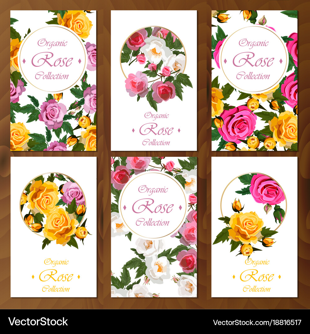 Rose card on wooden background Royalty Free Vector Image