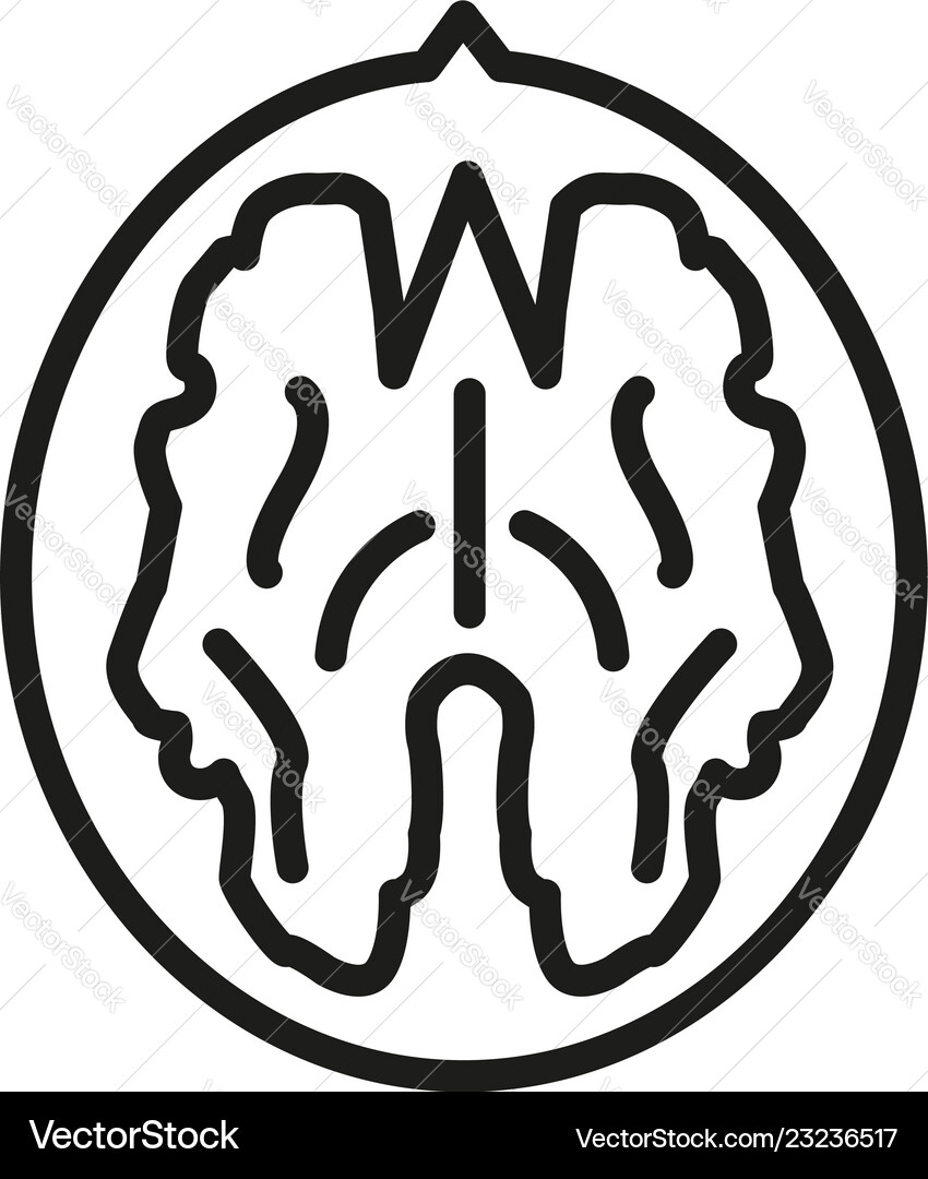 Walnut outline icon core symbol healthy Royalty Free Vector
