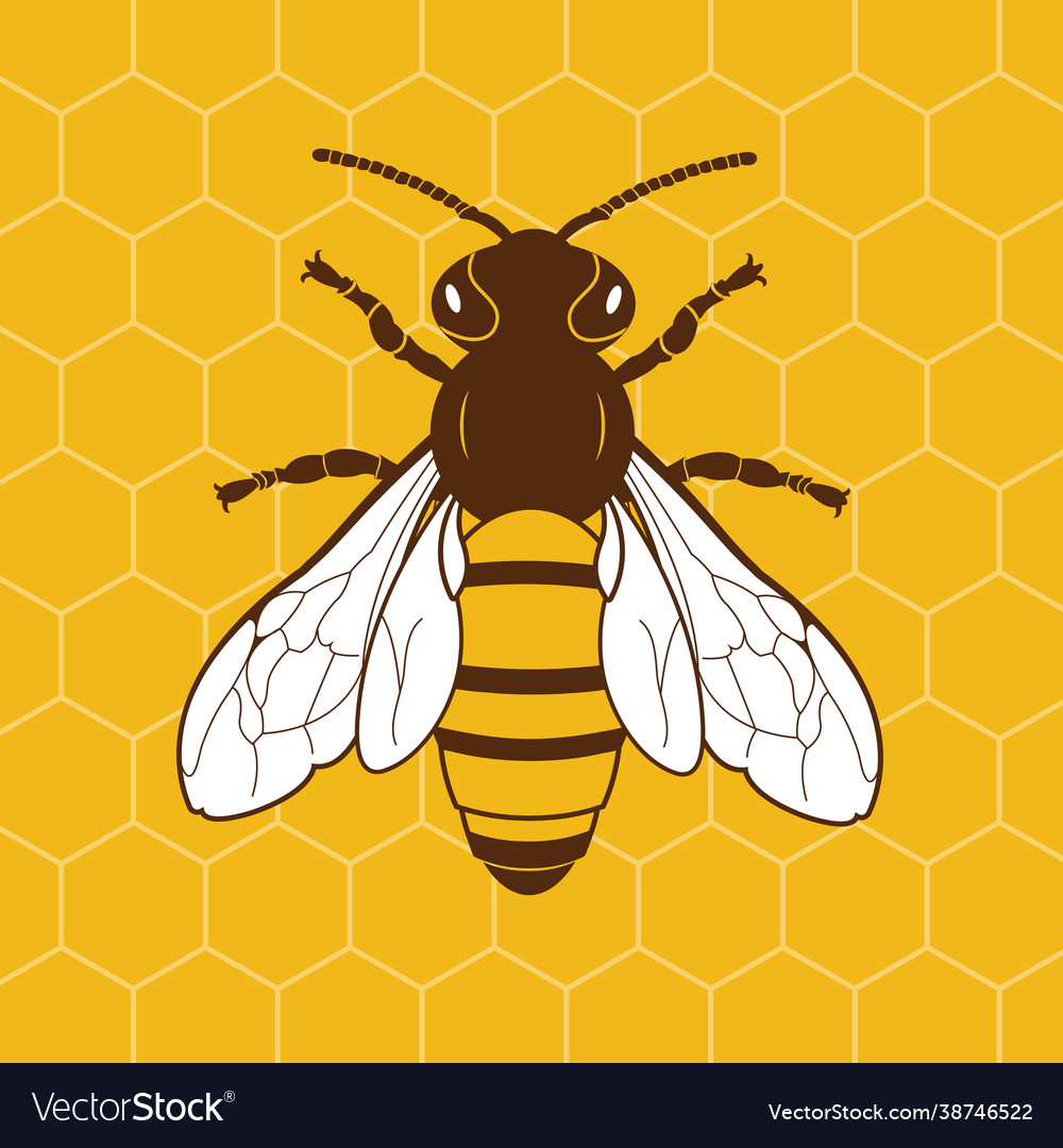 Bee Royalty Free Vector Image - VectorStock
