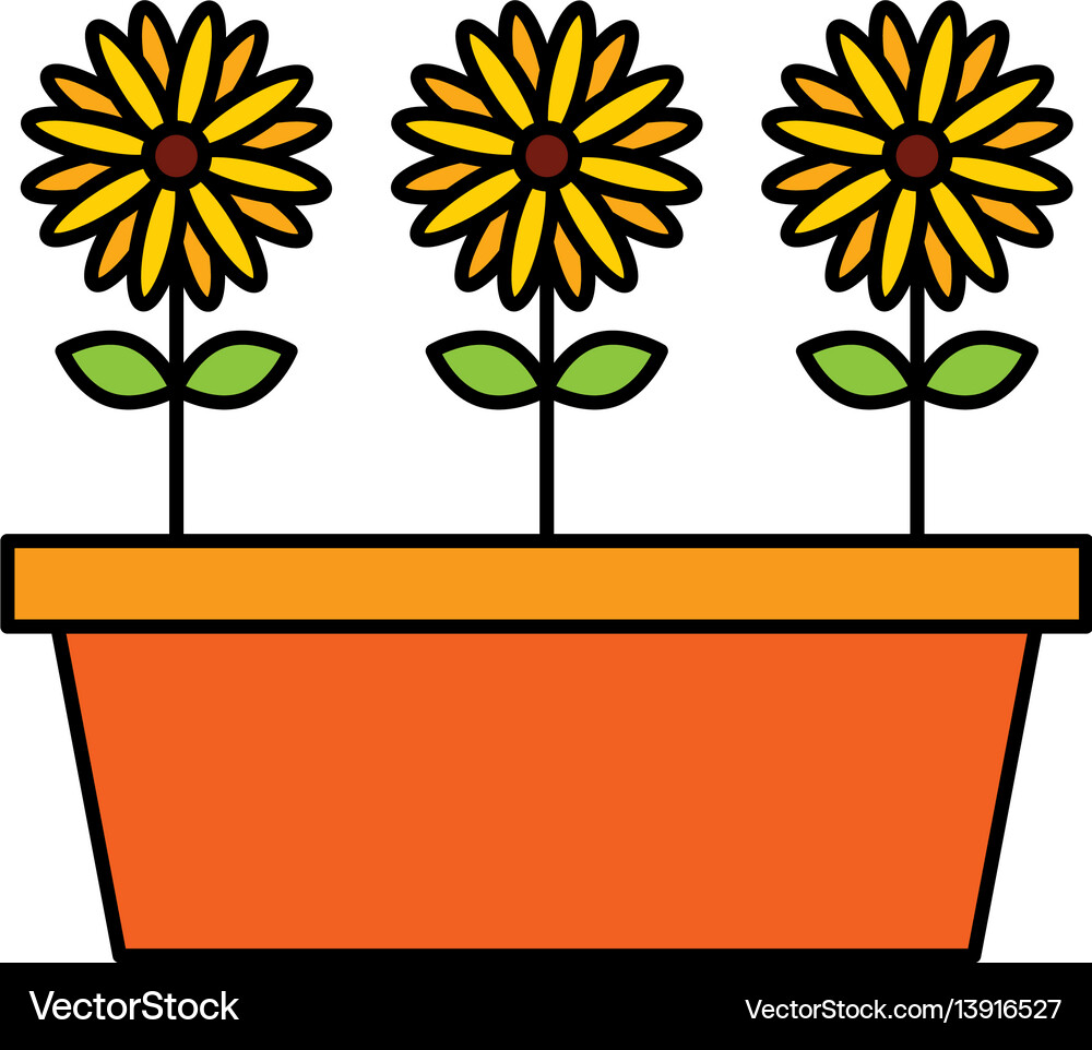 Cute garden flower in pot Royalty Free Vector Image