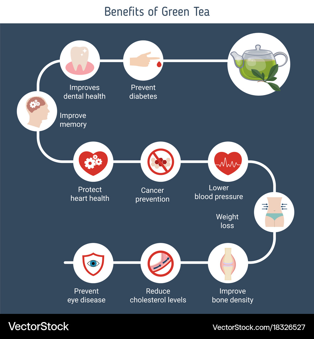 Foods infographics green tea Royalty Free Vector Image