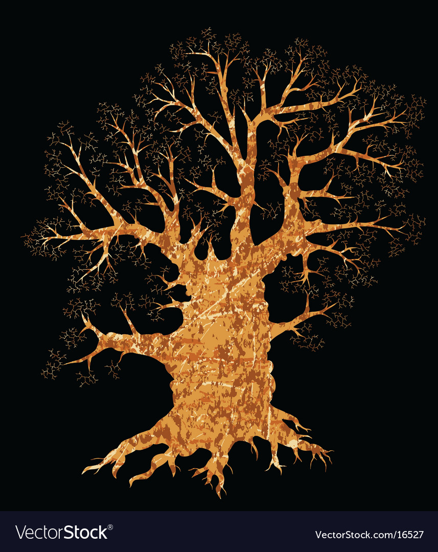 Oak tree Royalty Free Vector Image - VectorStock Oak tree Royalty Free Vector Image - VectorStock