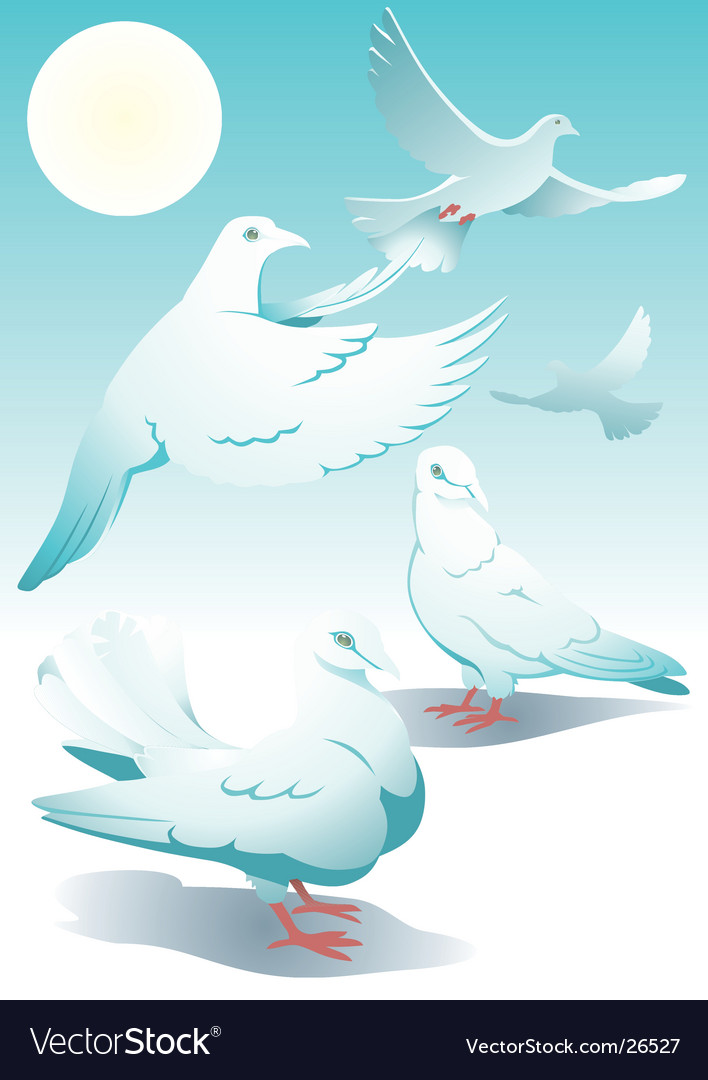 Pigeons Royalty Free Vector Image - VectorStock