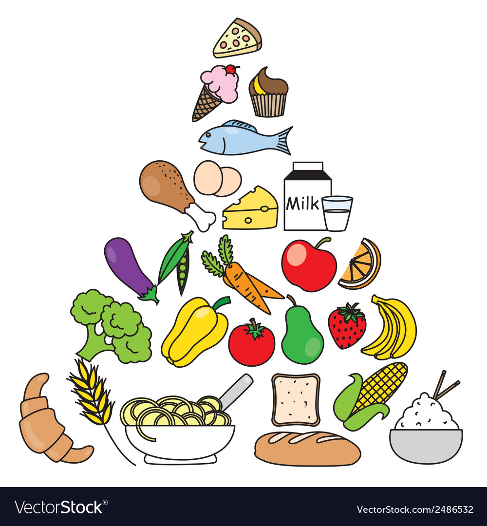 Food pyramid Royalty Free Vector Image - VectorStock