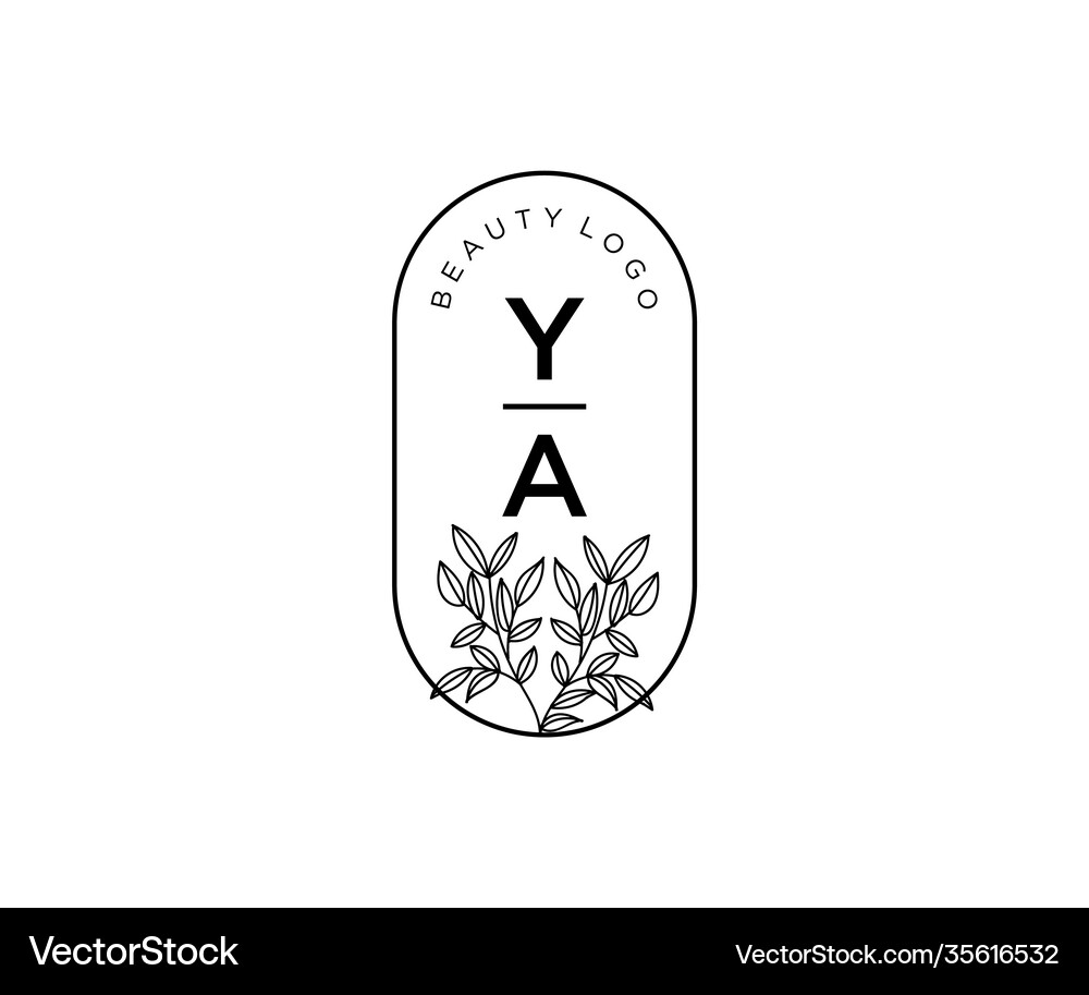 Initial yay letters beautiful floral feminine Vector Image