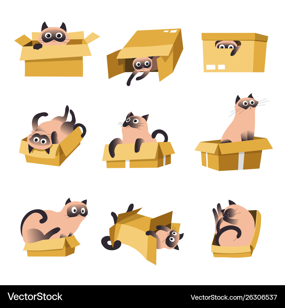 Cat playing with box isolated icons pet or Vector Image