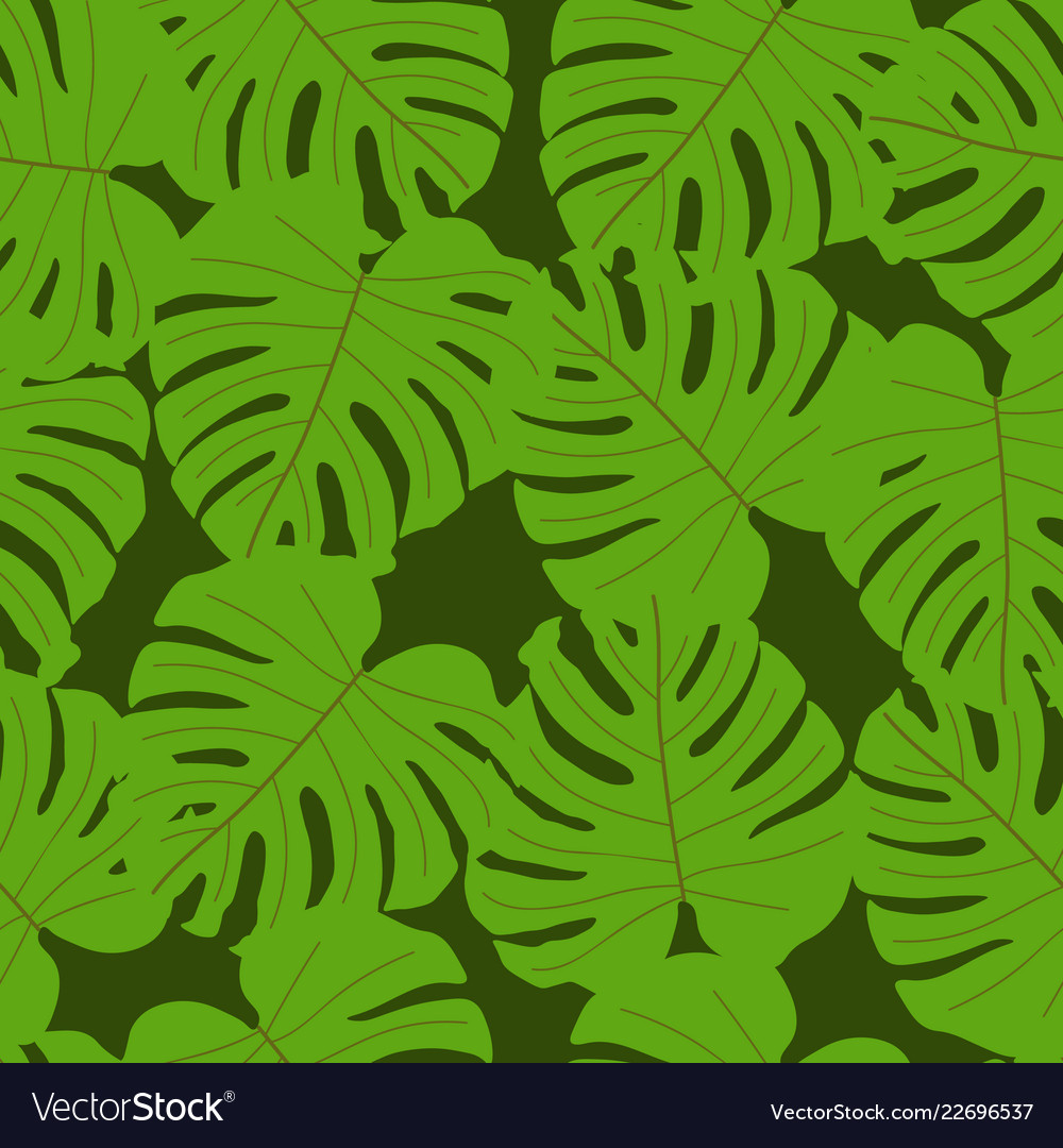 Seamless tropical pattern Royalty Free Vector Image