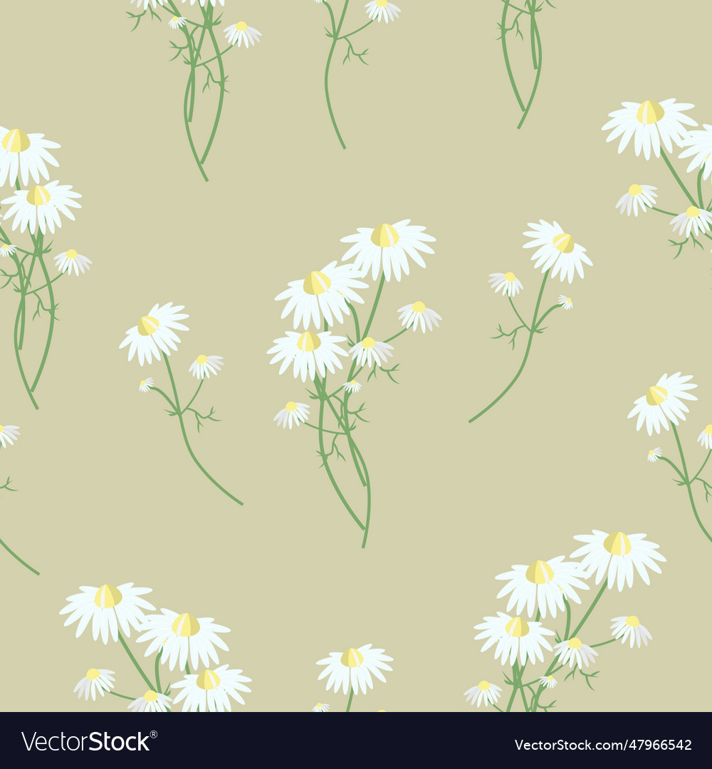 Seamless chamomile pattern Royalty Free Vector Image