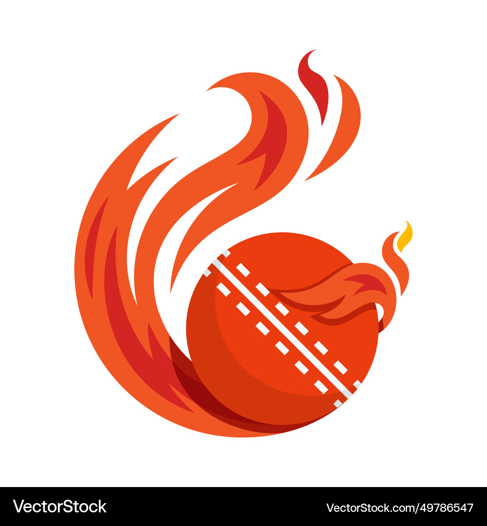 Cricket ball flying fire ball icon design Vector Image