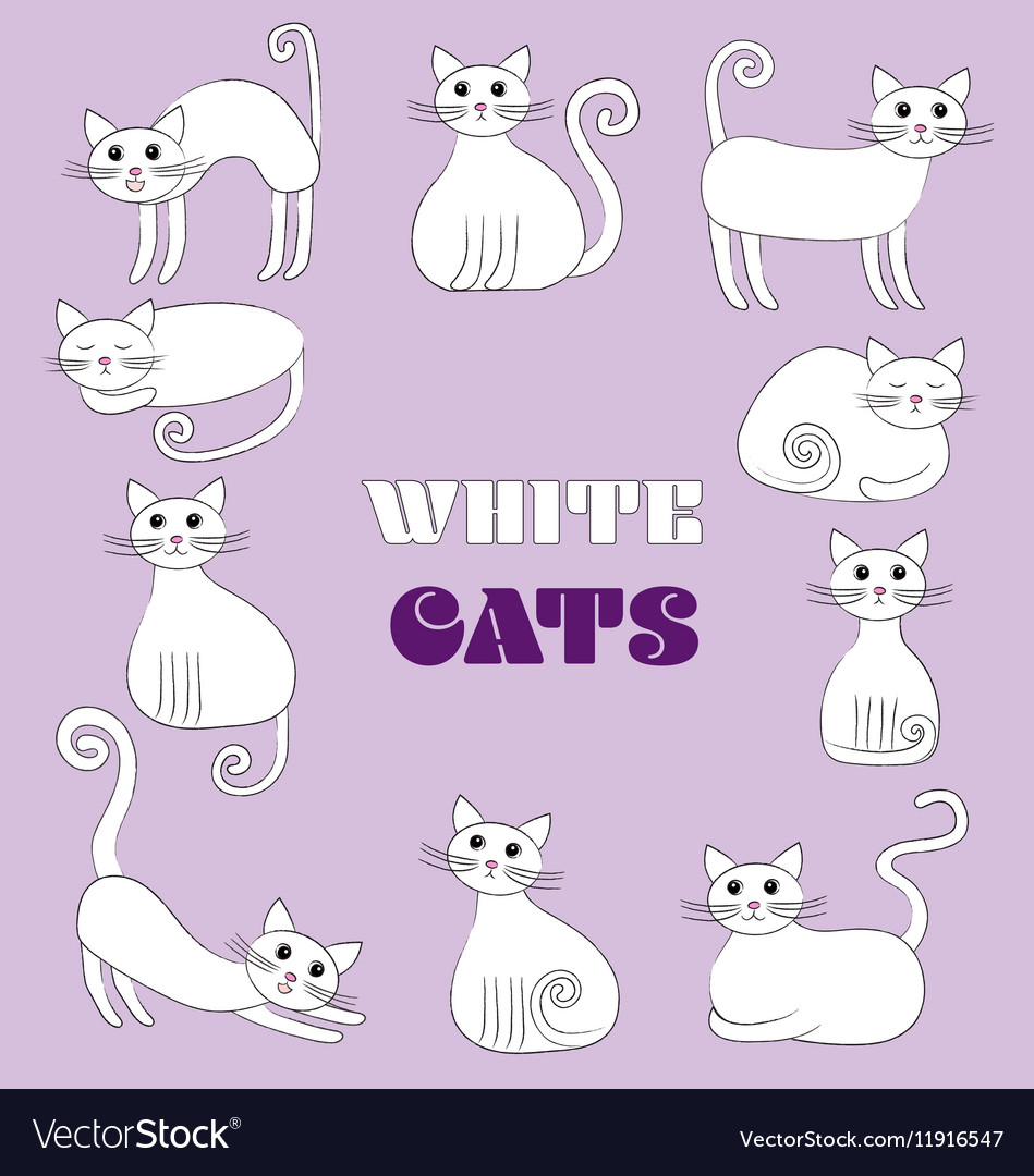 White cats Royalty Free Vector Image - VectorStock