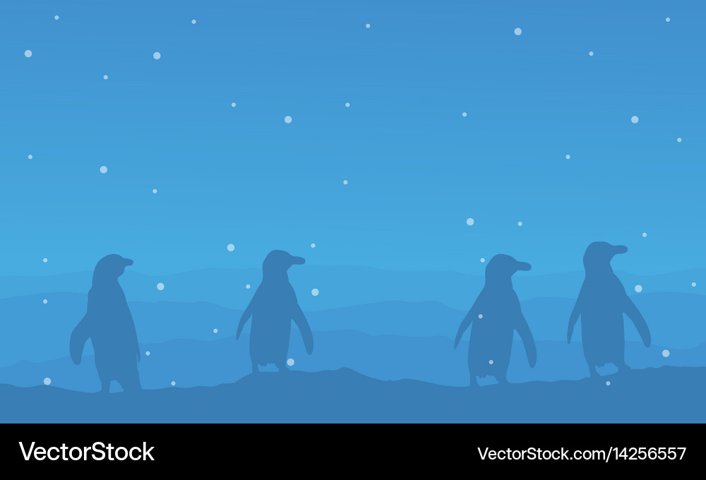 At night penguin on snow landscape Royalty Free Vector Image