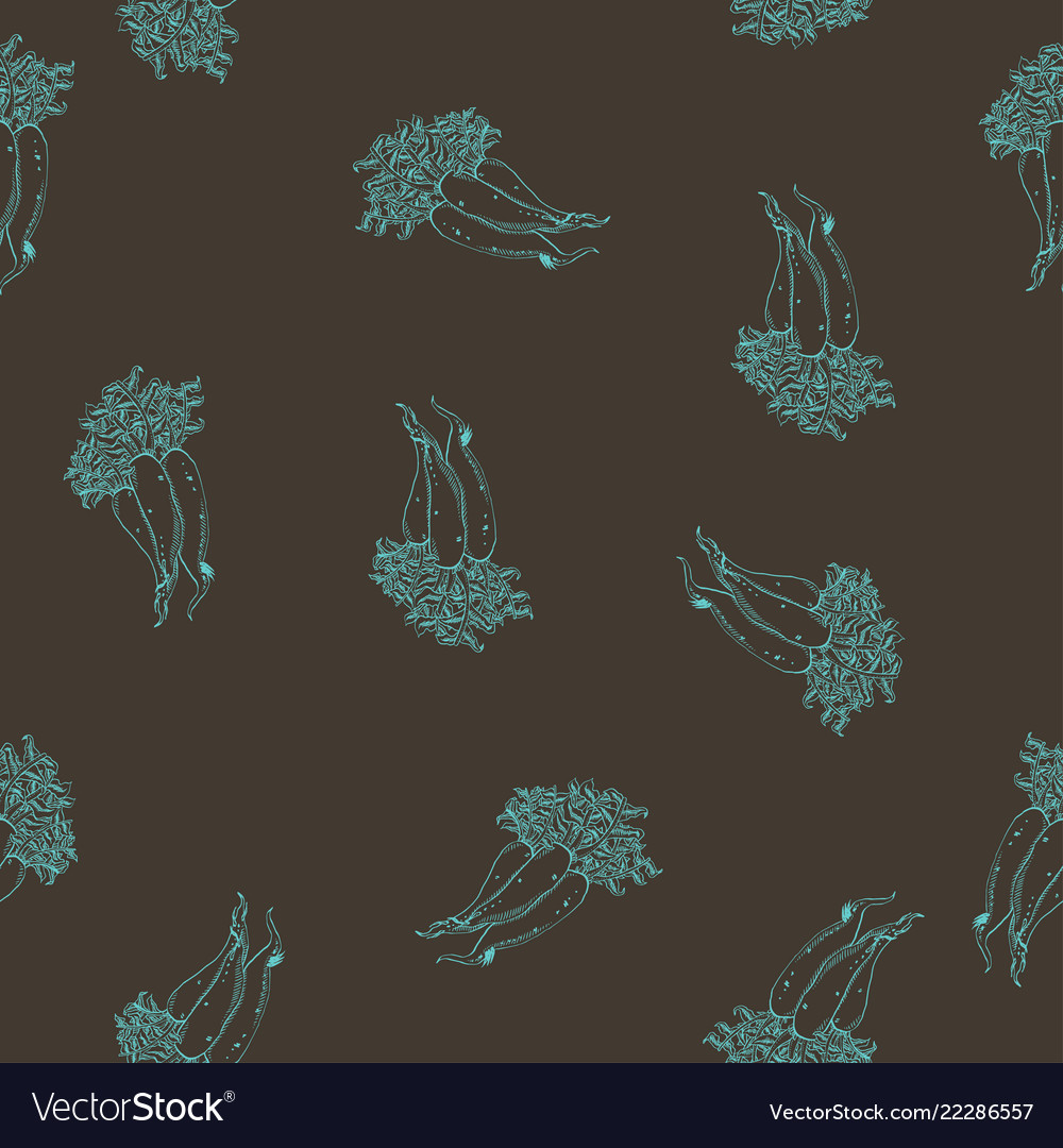 Calligraphy daikon turquoise path pattern Vector Image